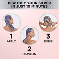L'Oreal Paris Le Color Gloss one Step Hair Color Toning Gloss, Silver ...