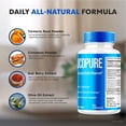 Glucopure Capsules, Advanced Blood Support Pills, All Natural Formula ...