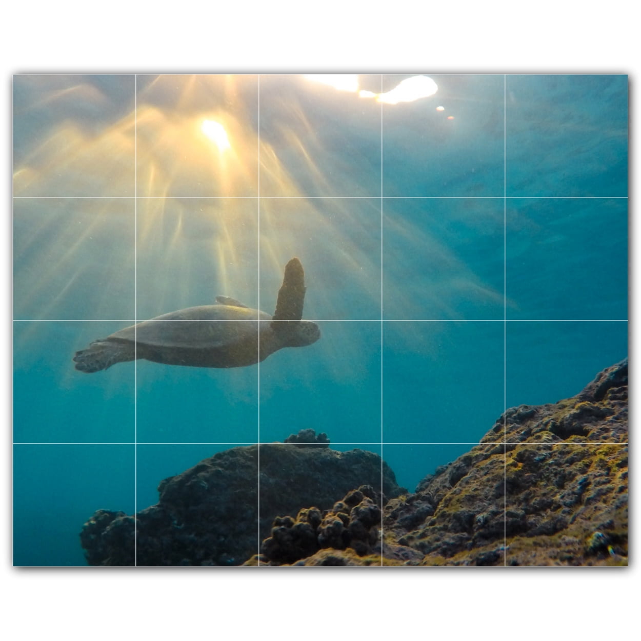 Picture-Tiles.com: Turtle Ceramic Tile Wall Mural WAL501055-54L. 40"W x ...