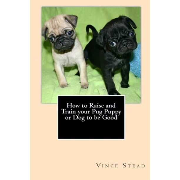 Are All Pug Puppies Hyper