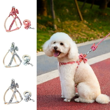Visland Duck Harness Leash, Fashion Cute Candy Color Wing Design ...