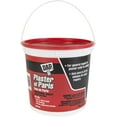 DAP Quick Set Plaster Of Paris 8lb Tub-White, Dry Mix for Crafts ...
