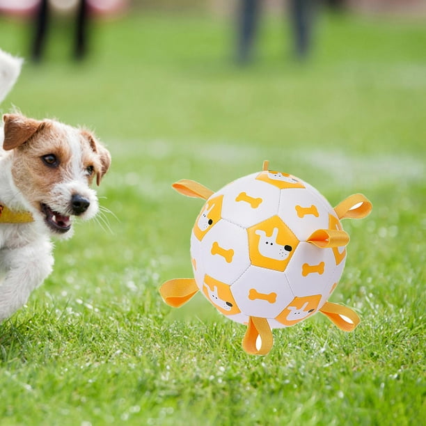 Balón de fútbol para perros Yinane Juguetes chirriantes | Walmart en línea