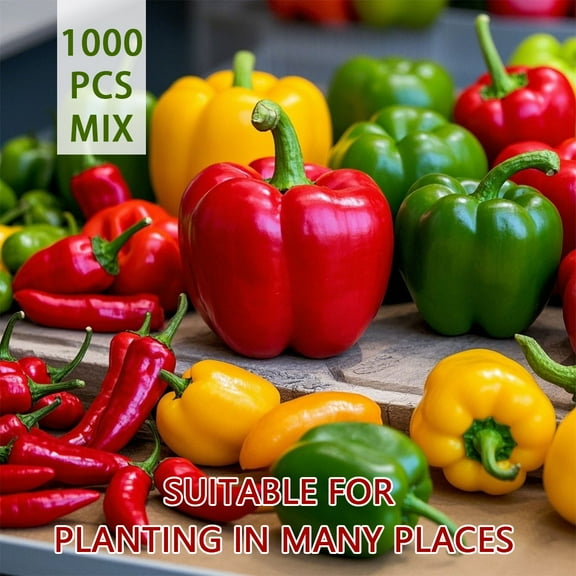 Pepper Seed Bell Pepper, California Wonder Pepper Seeds, Heirloom,100 ...