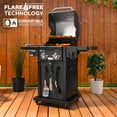 Coleman 2-Burner Gas Grill with Flare-Free Technology - Walmart.com