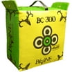 Bone Collector BC-300 Bag Field Point Archery Target - Walmart.com