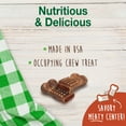 Nylabone Healthy Edibles Meaty Center All-Natural Long Lasting Chew ...