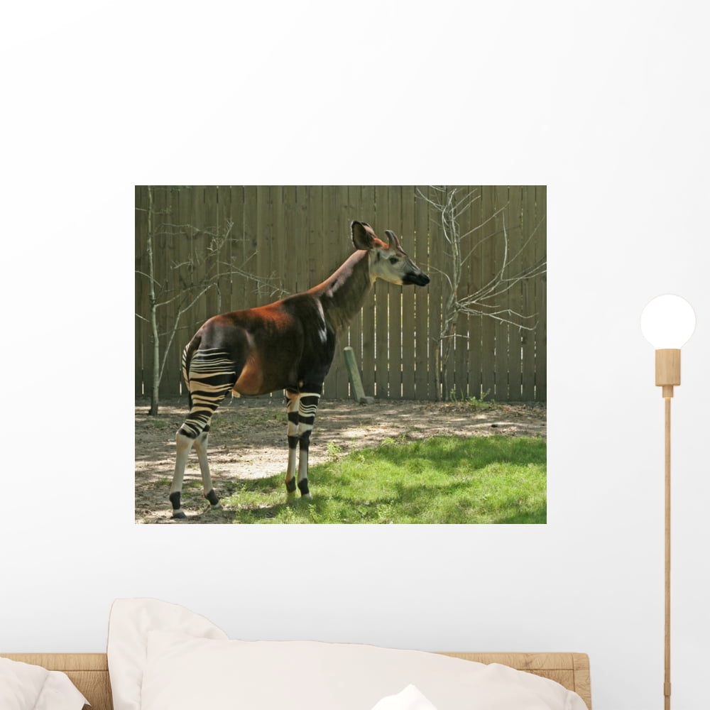 Okapi Wall Mural Decal Sticker, Wallmonkeys Peel & Stick Vinyl Graphic ...