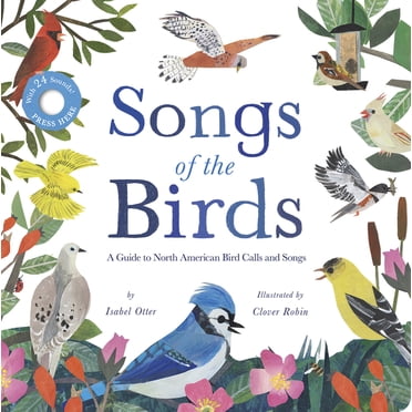 Birds (Board Book) - Walmart.com
