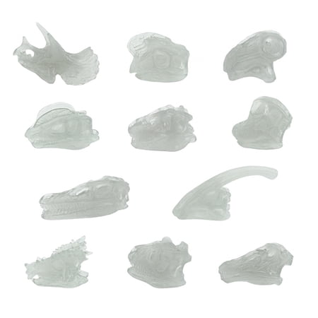 Dino Skull Archeology Luminous Dinosaurs Skull Model Toys for Teaching ...