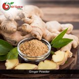 NY SPICE SHOP Ginger Powder - 08 Ounce - Ground Ginger Root Powder ...