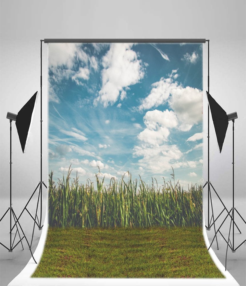 MOHome 5x7ft Backdrop Photography Background Green Corn Field Blue Sky ...