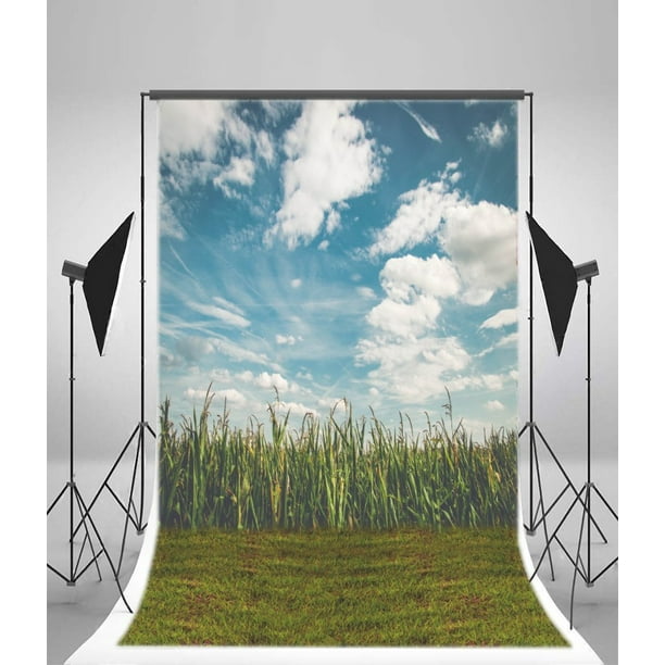Cornfield Backdrop