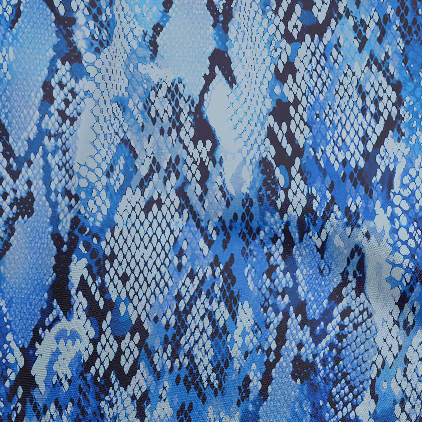 oneOone Silk Tabby Medium Blue Fabric Animals Dress Material Fabric Print Fabric By The Yard 42 ...