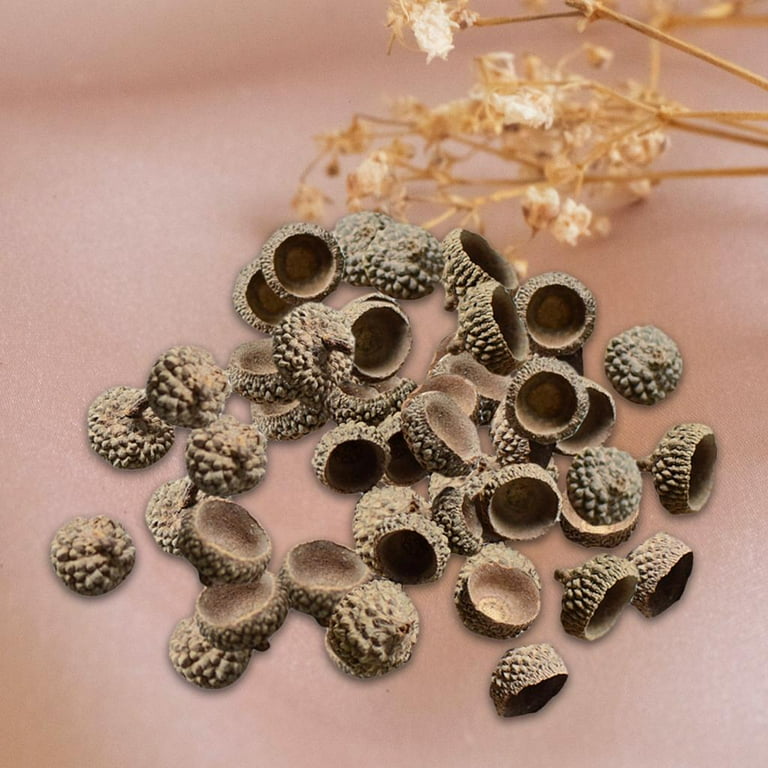 40 Plastic Acorns With Real Caps Assorted Sizes Fall Bowl Fillers