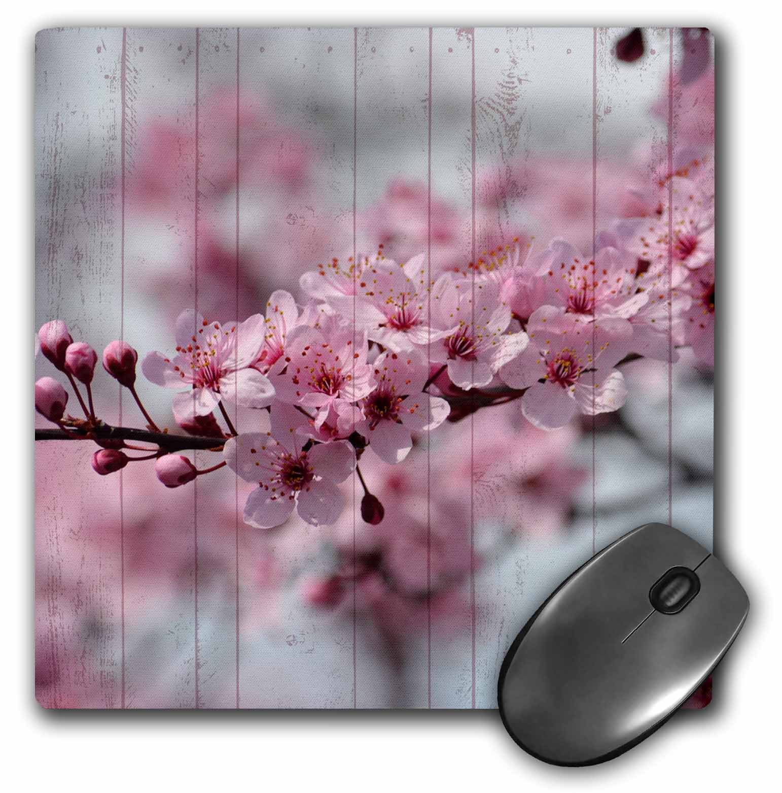 3dRose Cherry Blossom Flowers with wood look, Mouse Pad, 8 by 8 inches ...