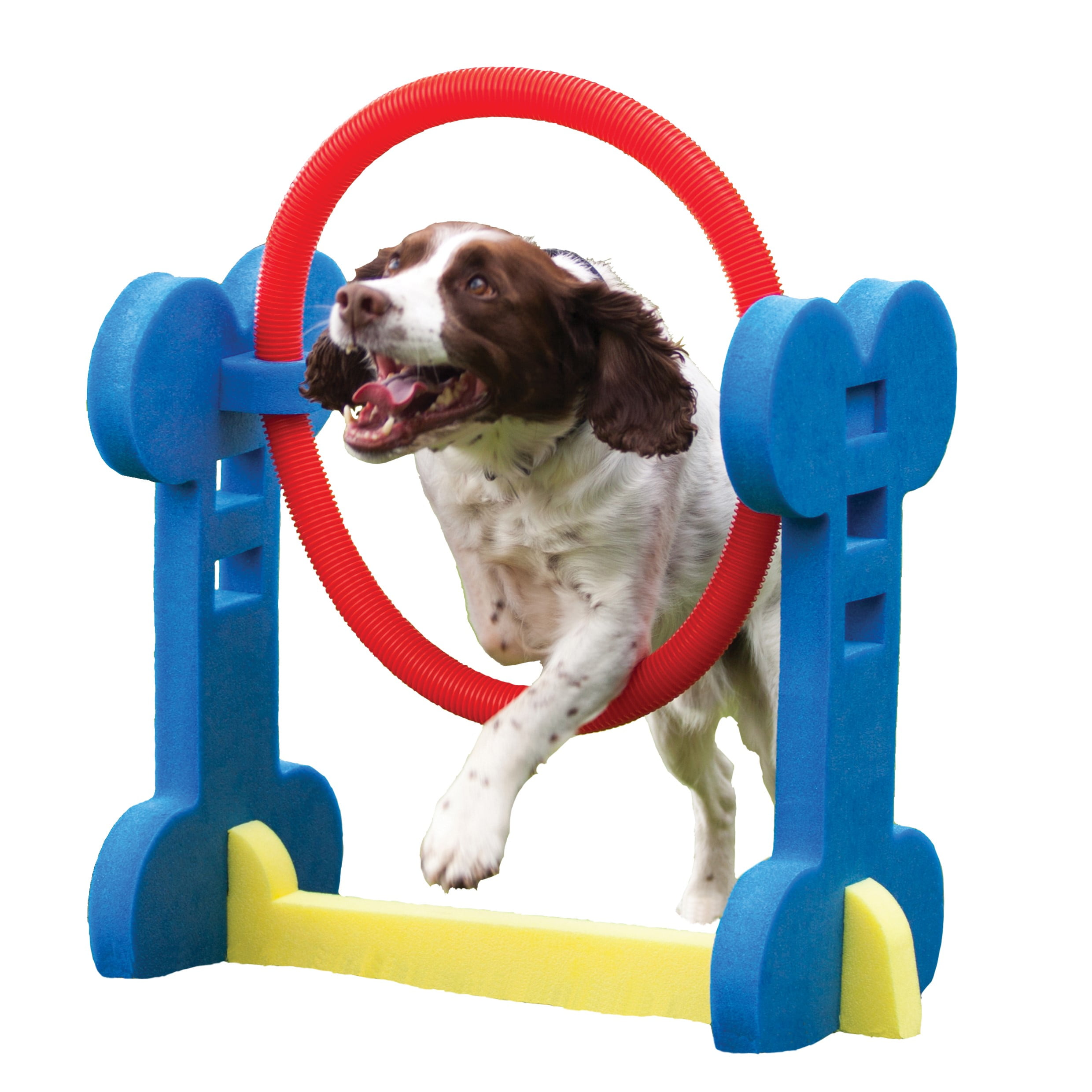 Rosewood Pet Agility Hoop Dog Training Toy - Walmart.com