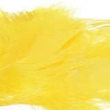 Feathers All Purpose Yellow 14 Grm Pack - Walmart.com