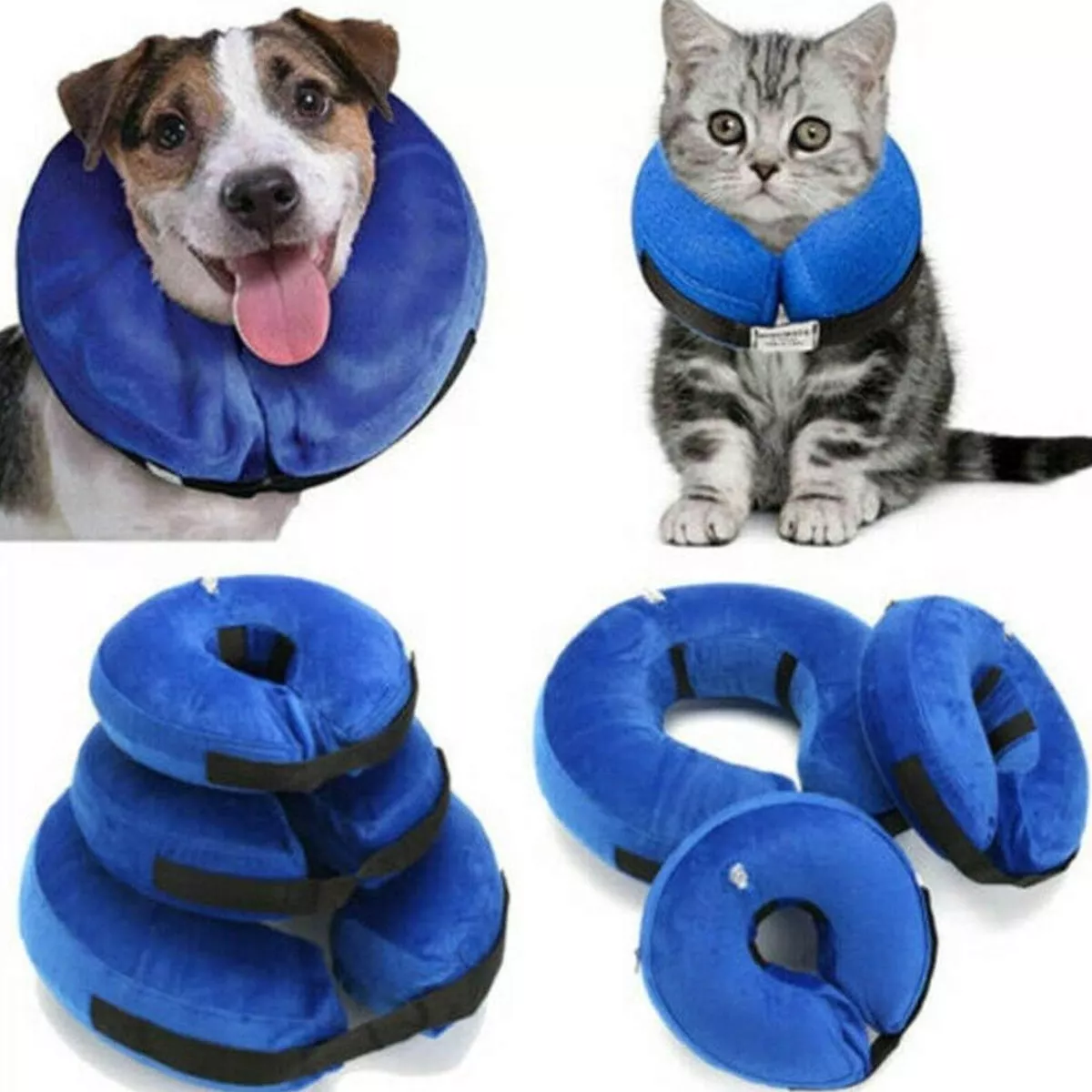 Collar Inflable De Recuperación Isabelino Para Perros Y Gato | Walmart ...
