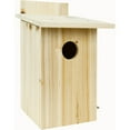 Nature's Way My First Bird House DIY Kit - Walmart.com