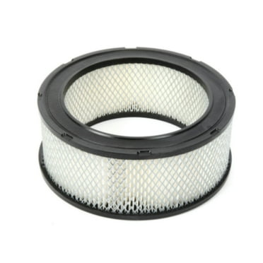 Carquest Standard Engine Air Filter: Meets Original Equipment ...