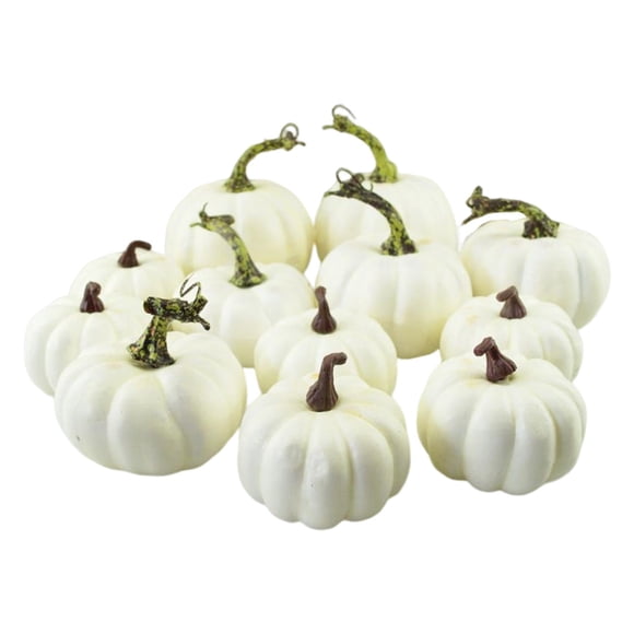Real Mini White Pumpkins