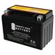 YTX9-BS Battery Replacement for PTX9BS Predator Generator (8750 watt ...