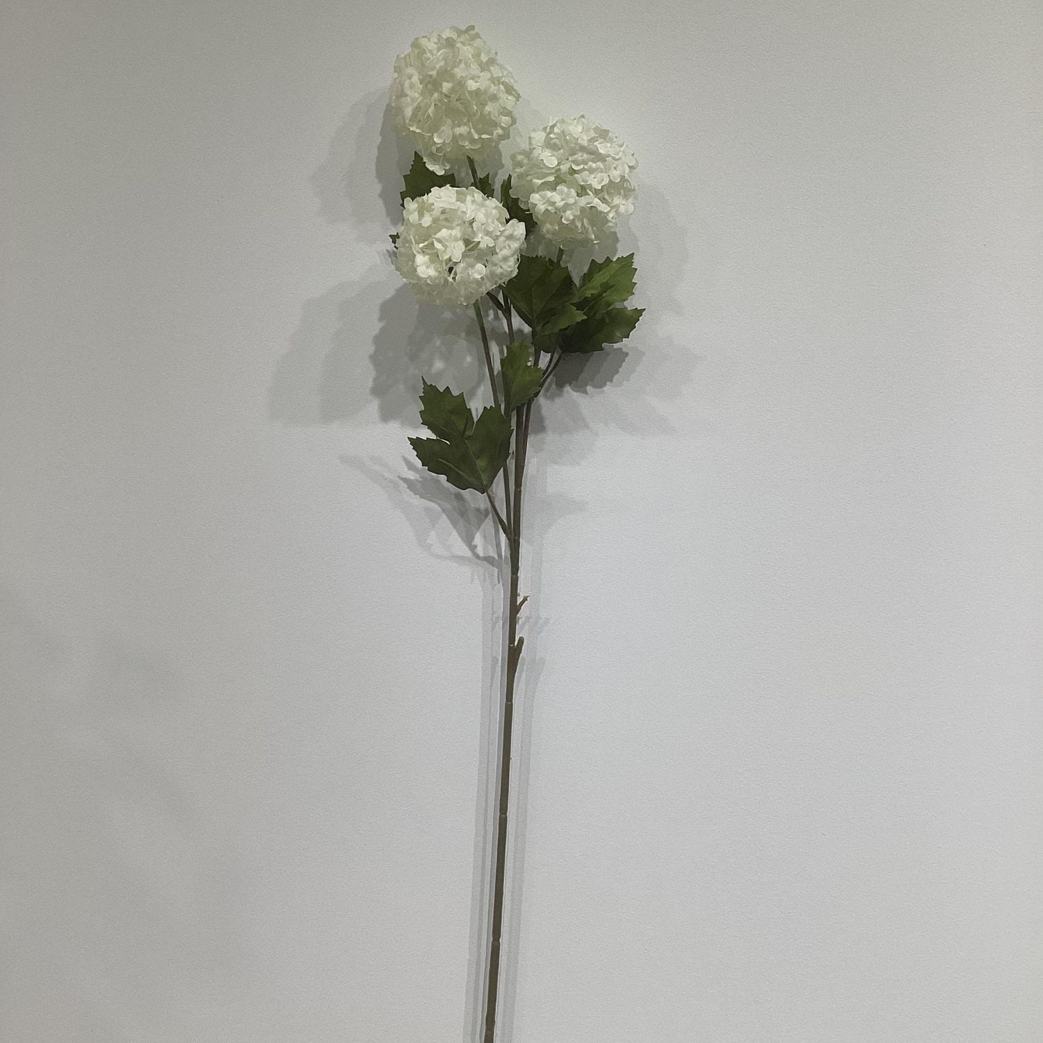 Click here for Permafleur Snowball Spray prices