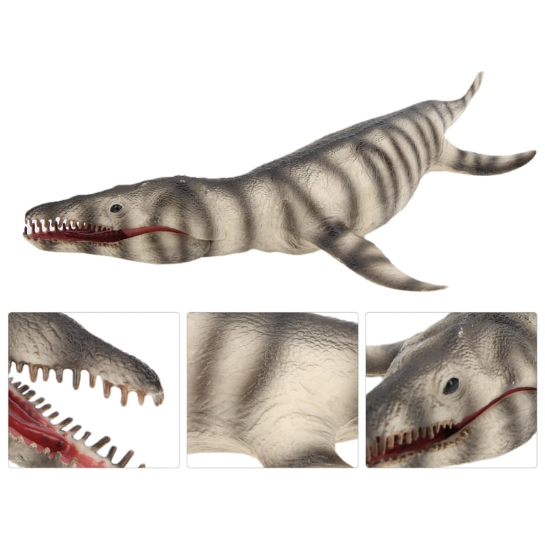 Dakosaurus Andiniensis