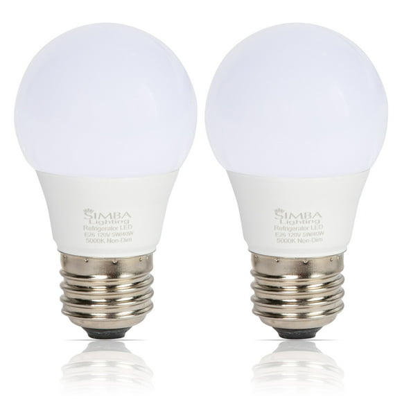 A15 LED Light Bulbs