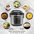 Moss & Stone 4-8-Cup Electric Rice Cookers, Clear - Nonstick Interior ...