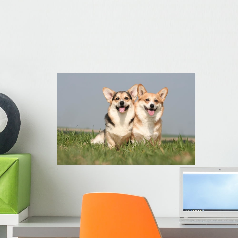 Couple Welsh Corgi Side Wall Mural by Wallmonkeys Peel and Stick ...