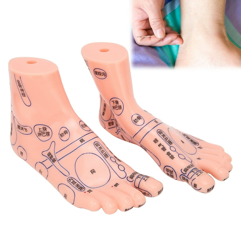 Acupuncture Points Top Of Foot | ppgbbe.intranet.biologia.ufrj.br