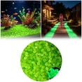 Glowing Stones for and Aquarium – Magical Luminous Rocks for Outdoor ...