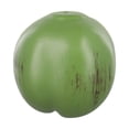 Homena Fake Coconut Decor Simulated Fruit Props For Home Decor 11*10 ...