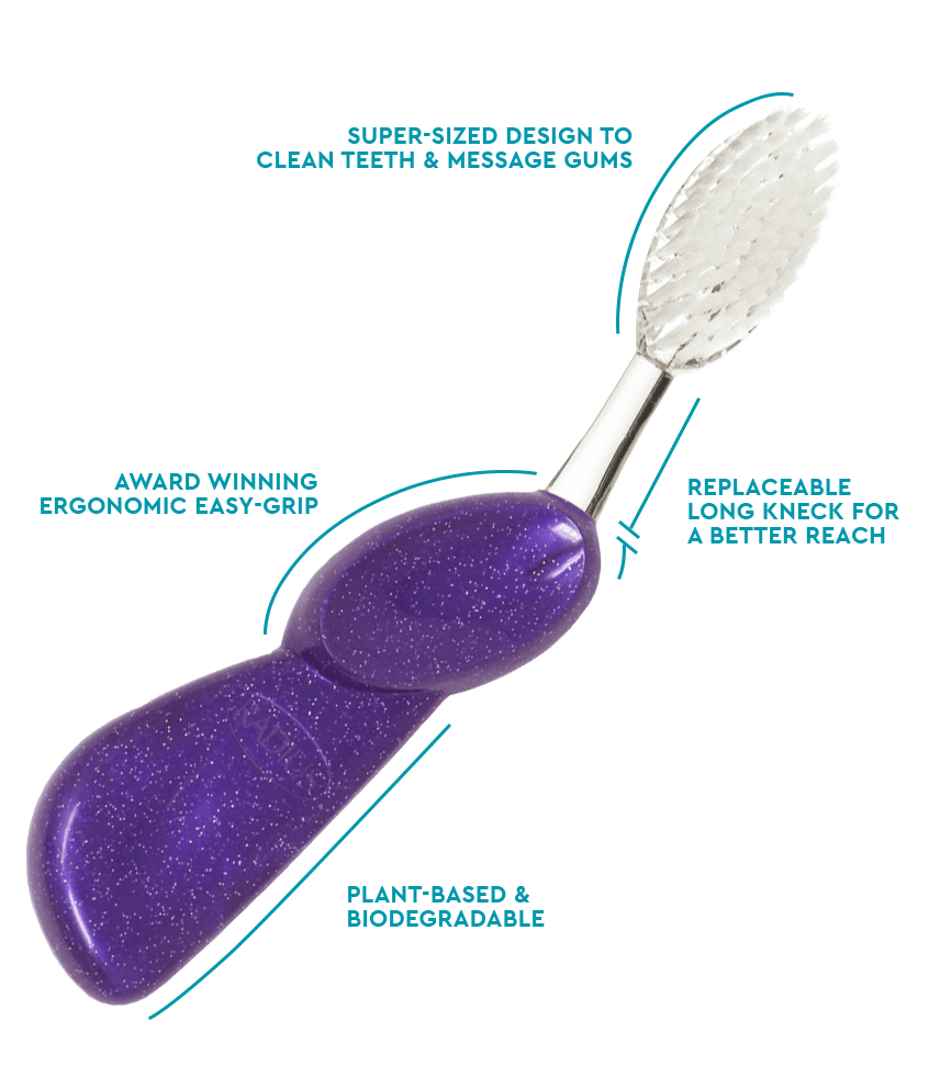 RADIUS Toothbrush Big Brush with Replaceable Head, Left Hand, Soft in ...