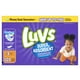 Luvs Super Absorbent Leakguards Newborn Diapers Size 3 120 count ...