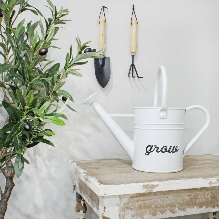 Rustic Watering Can