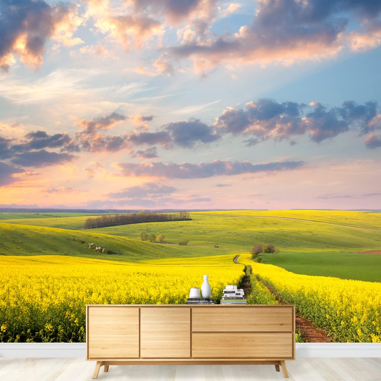 Spring Prairie Road Wallpaper