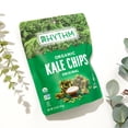 Rhythm Superfoods Kale Chips, Original, 2 Oz - Walmart.com