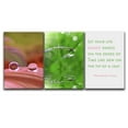 3 Panel Dew on The Tip of Leaf with Inspirational Quotes Gallery 24 x36 ...