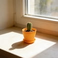 8pcs Colorful Pots with Drainage Hole & Tray 3.7" Small Nursery ...