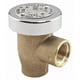 Watts 288A Anti-Siphon Vacuum Breaker 1/2 In., Brass, Lead Free ...