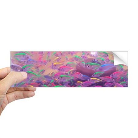 Ocean Fish Science Nature Picture Rectangle Bumper Sticker Notebook ...