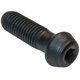 Dewalt Drill Genuine OEM Replacement Chuck Screw # N092854 - Walmart.com
