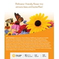 Burpee Wildflower Pollinator Seeds Mix Attracts Bees Butterflies Covers ...