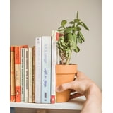 Suck UK Plant Pot Bookends | Decorative Flower Pot Holders | Set of 2 ...