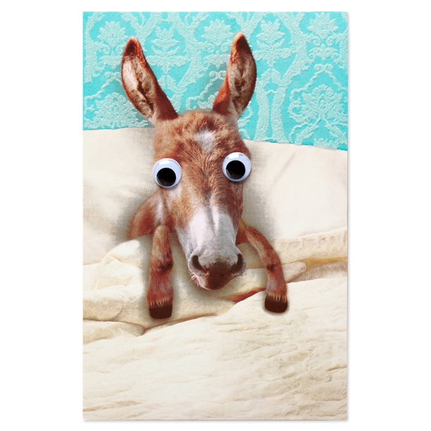 American Greetings Funny Donkey Thinking of You Card with Flocking ...