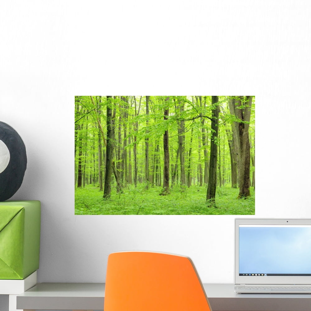 Green Forest Wall Decal by Wallmonkeys Peel and Stick Graphic (18 in W ...