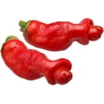 Peter Pepper Seeds to Plant (30 Seeds) - Easy to Grow and Exotic Look ...